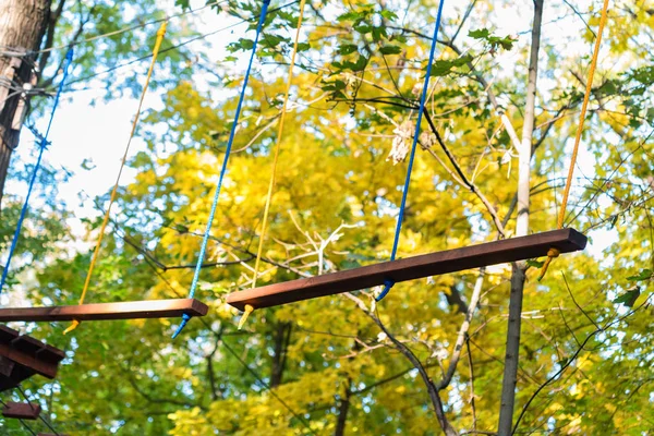 Tree top adventure Stock Photos, Royalty Free Tree top adventure Images ...