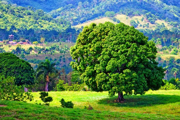 Imagenes de paisaje honduras Stock Photos, Royalty Free Imagenes de ...