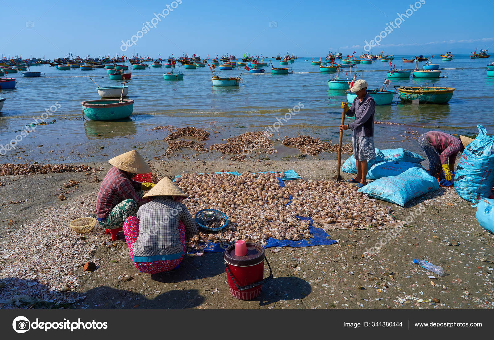 Asian People Gathering Sea Snails Beach – Stock Editorial Photo ...