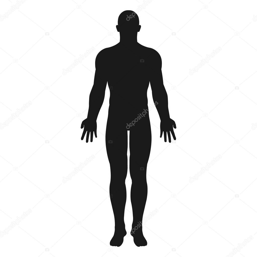 Ilustración vectorial del icono del cuerpo humano. Diseño plano ...
