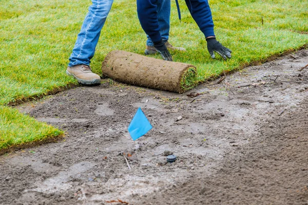 Man Laying Grass Green Rolls New Garden Lawn — Stock Photo © photovs ...