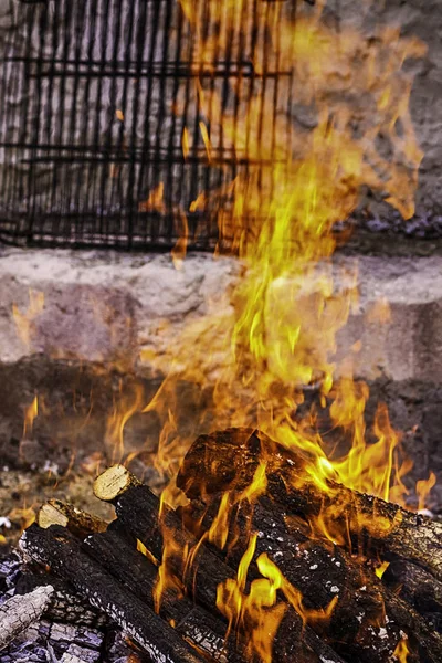 FIRE BURNING TREE TRUNKS AND GRILLS TO COOK BARBECUE - Stock Image ...
