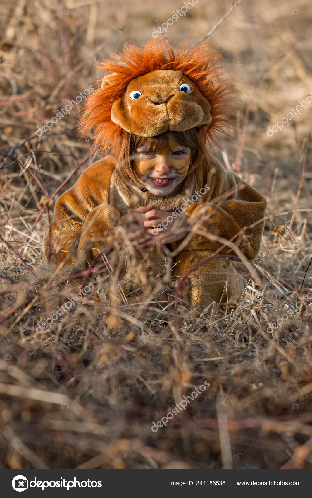 Girl Dressed Lion Masquerade — Stock Photo © erikzunec #341156536