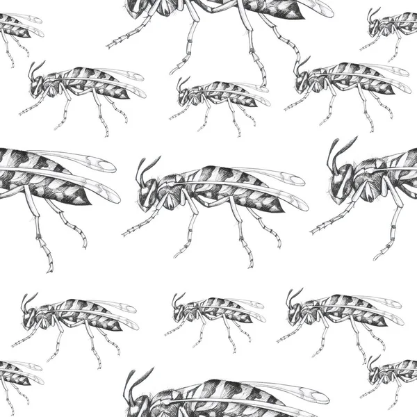 Insect anatomy Stock Photos, Royalty Free Insect anatomy Images ...