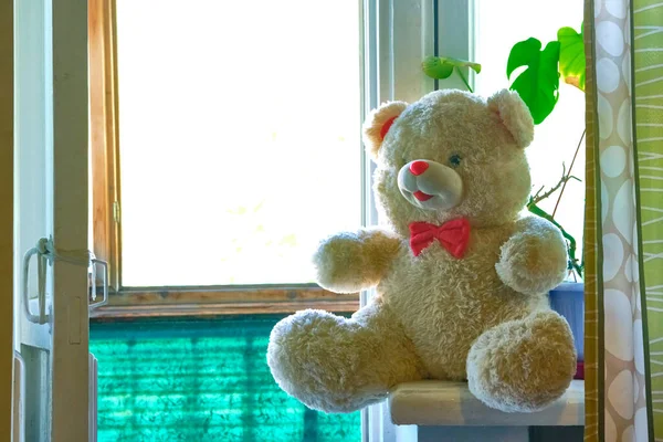 Teddy bear window Stock Photos, Royalty Free Teddy bear window Images ...