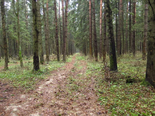 Pista natural Stock Photos, Royalty Free Pista natural Images ...