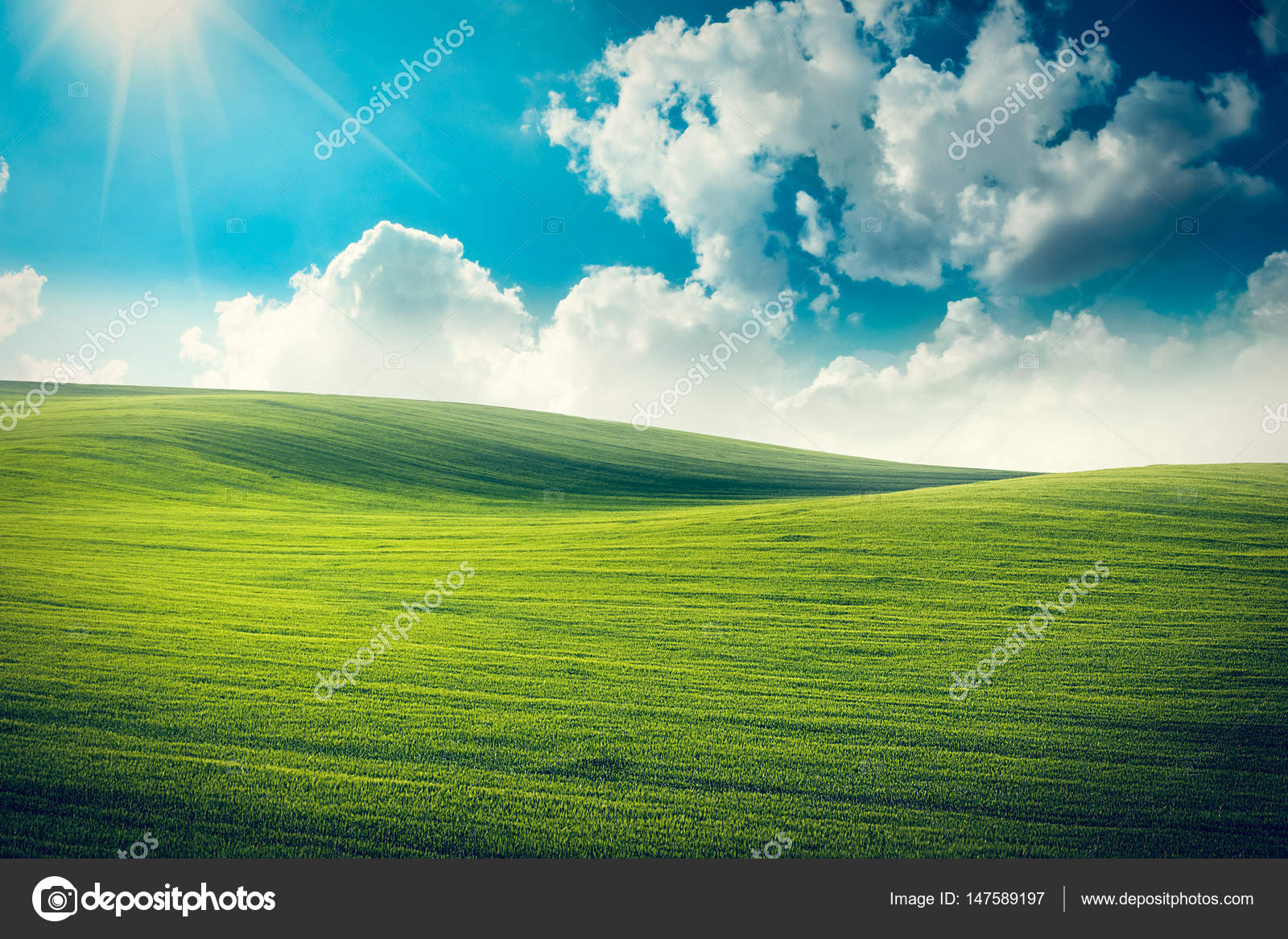 Green sunny valley landscape Stock Photo by ©guteksk7 147589197