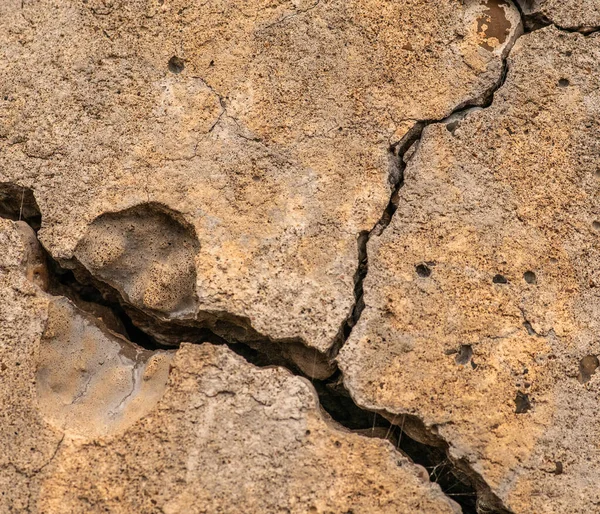 Los paleologia images libres de droit, photos de Los paleologia ...