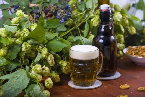 Beer Glass And Hops Stock Photo by ©aaron007 41011483