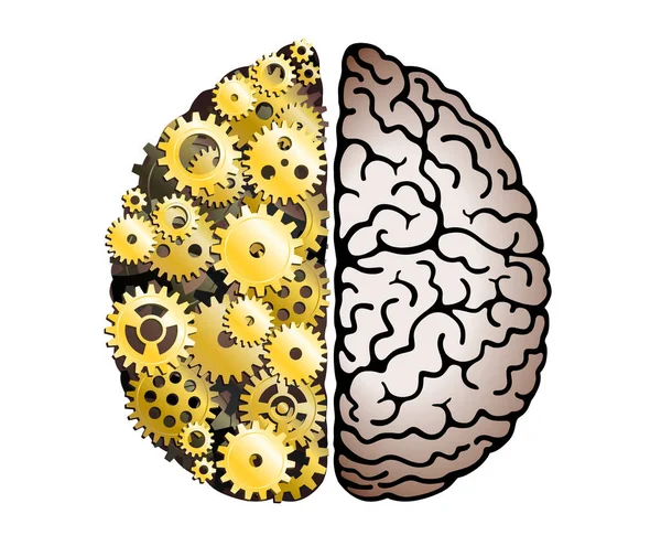 29 Cerebral convolutions Vector Images | Depositphotos