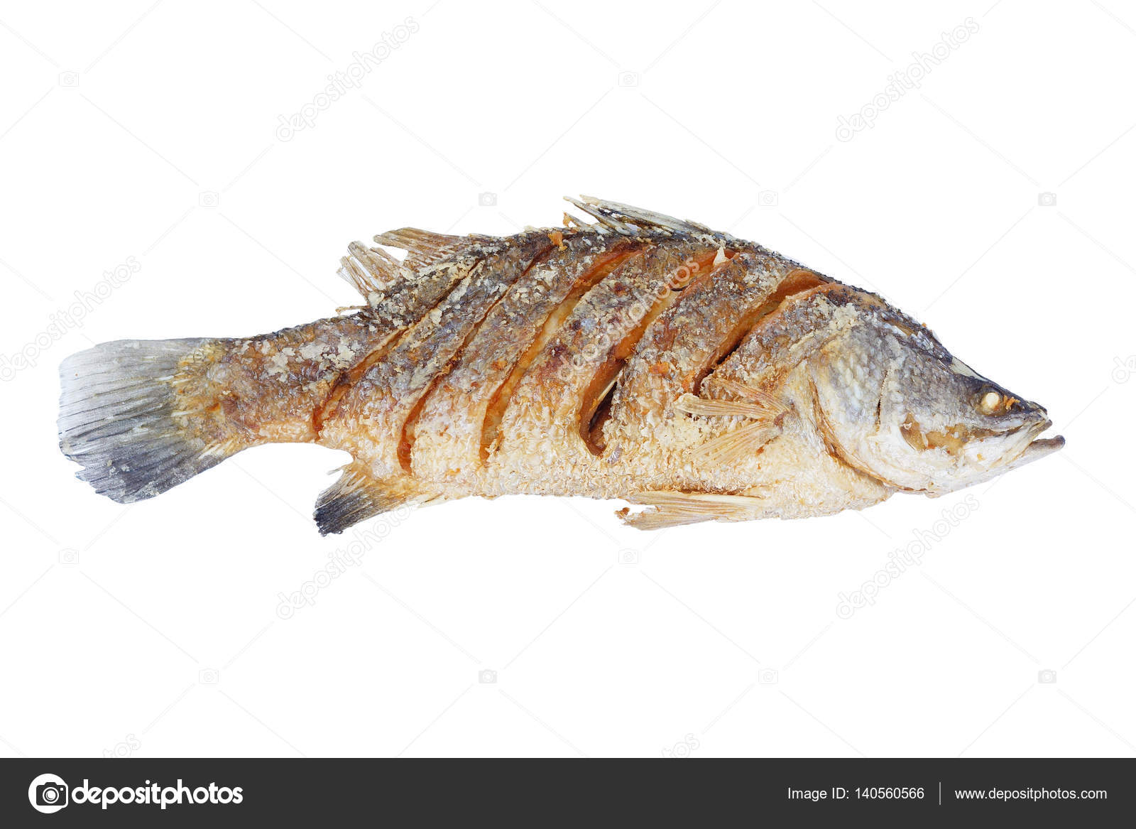 White Perch Fish