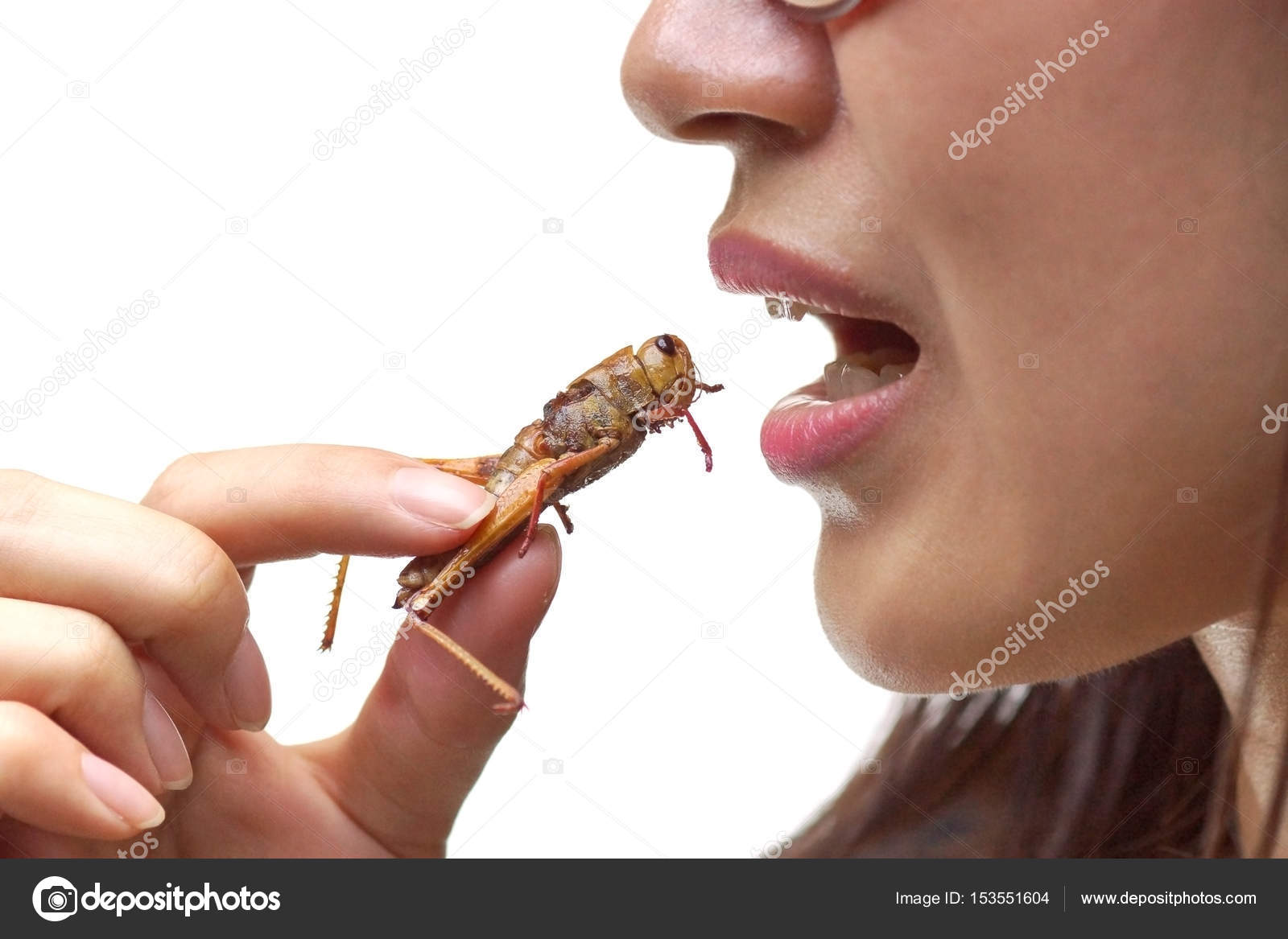 Comer concepto de insecto: fotografía de stock © weerapat #153551604 ...