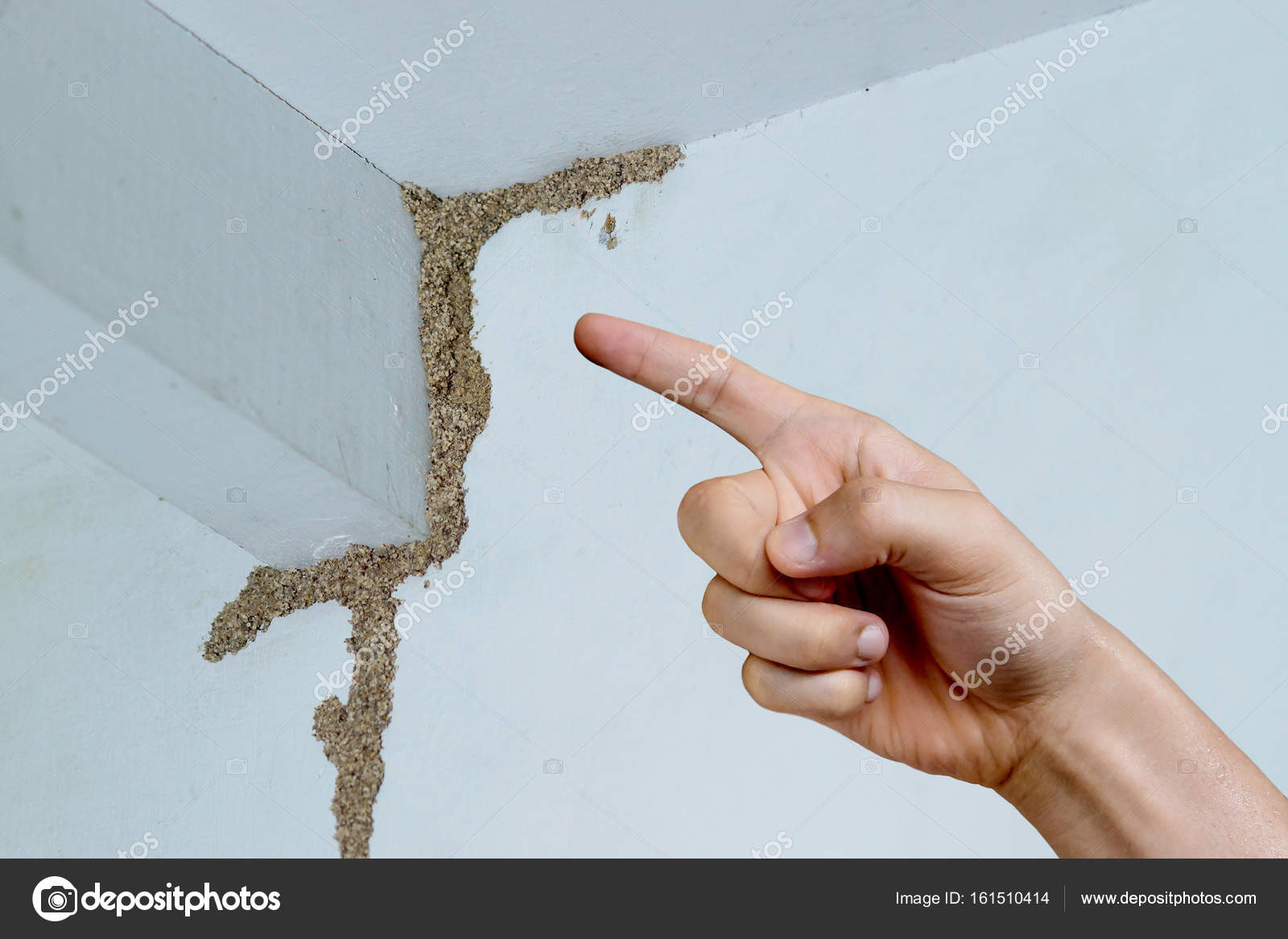 Problema de termitas en casa — Foto de stock #161510414 © weerapat