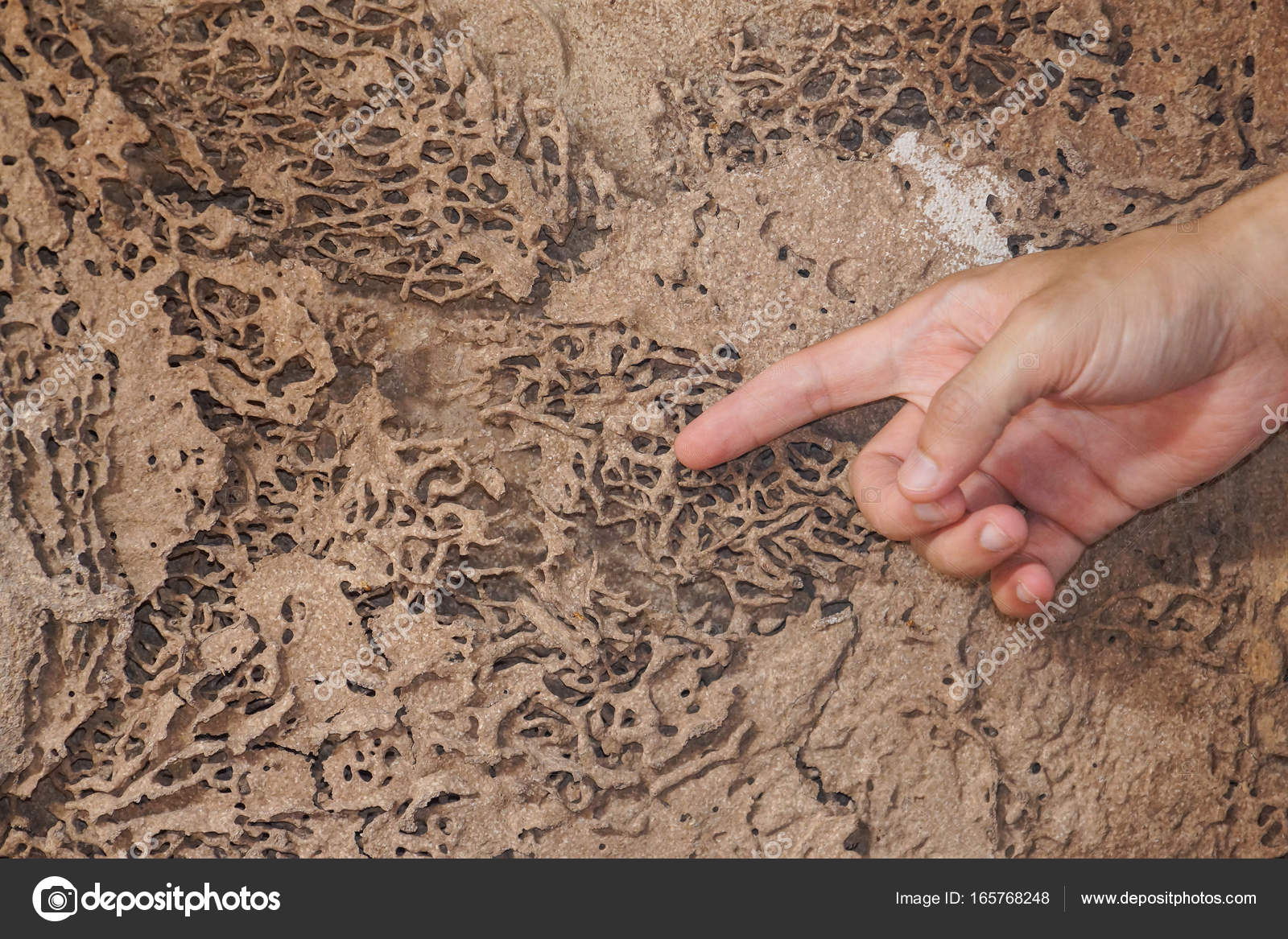 Termite problem in house — Stock Photo © weerapat #165768248