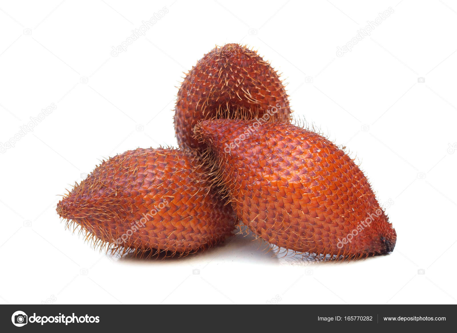 Salacca fruit / Tropical fruit Stock Photo by ©weerapat 165770282