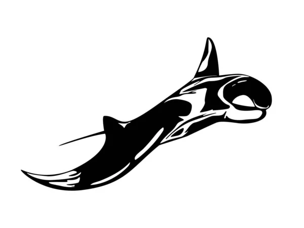 60,757,965 Manta Vector Images | Depositphotos