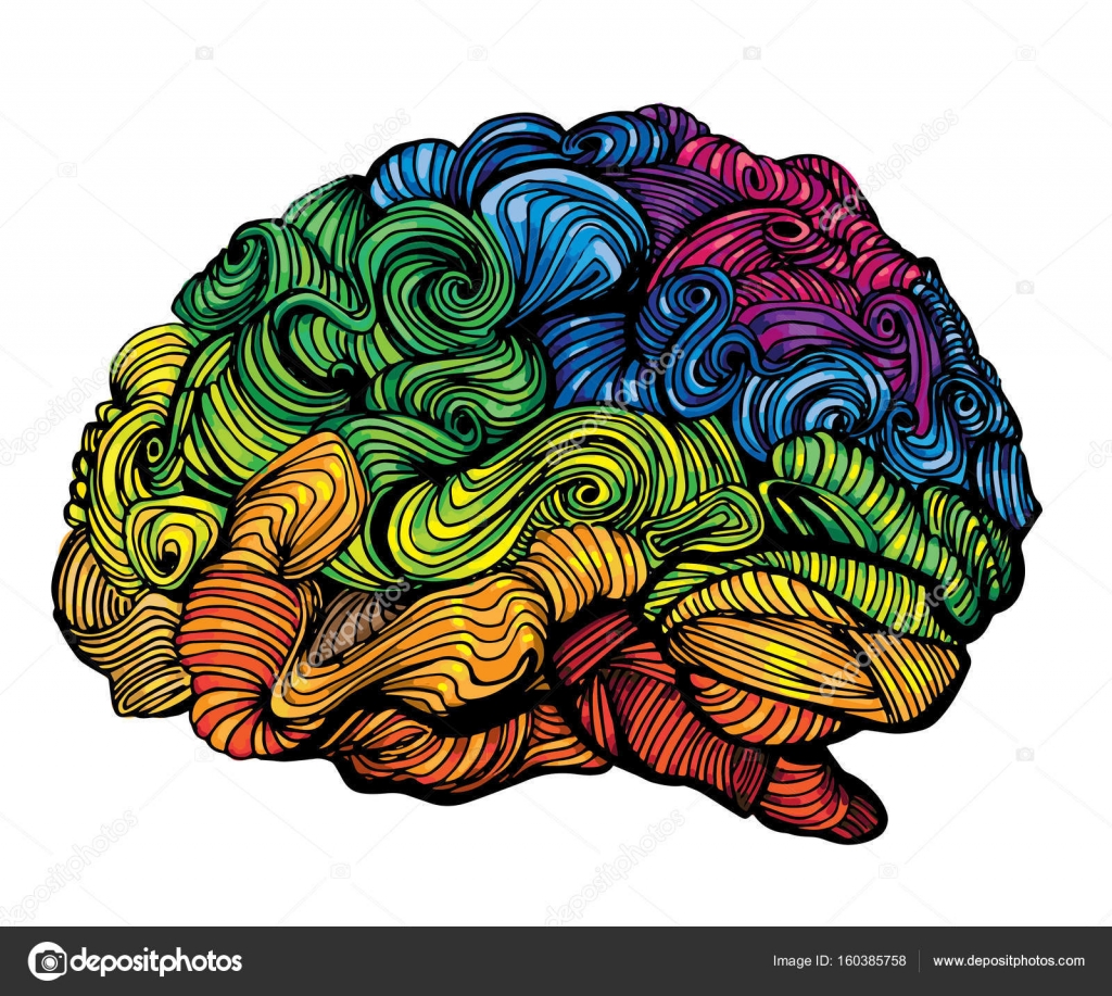 Enkel Tegning Av Menneskelig Hjerne Nervesystemet – Store Medisinske
