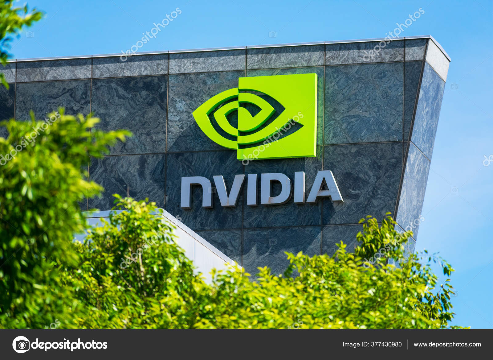 Logotipo De Nvidia Con Fondo Verde Cómo NVIDIA Se Hizo La Empresa