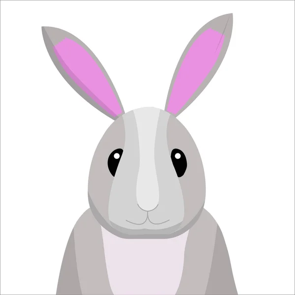 Hare gray Vector Art Stock Images | Depositphotos
