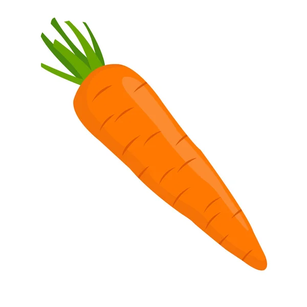 Carrot Top Vector