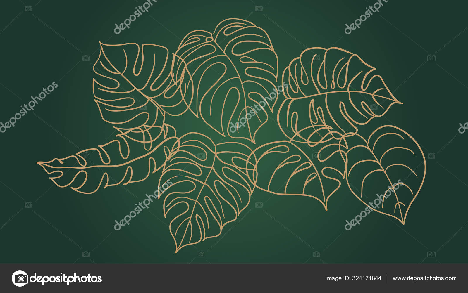 Outline Drawing Monstera Leaves Yellow Gold Color Overlap Deep Green ...