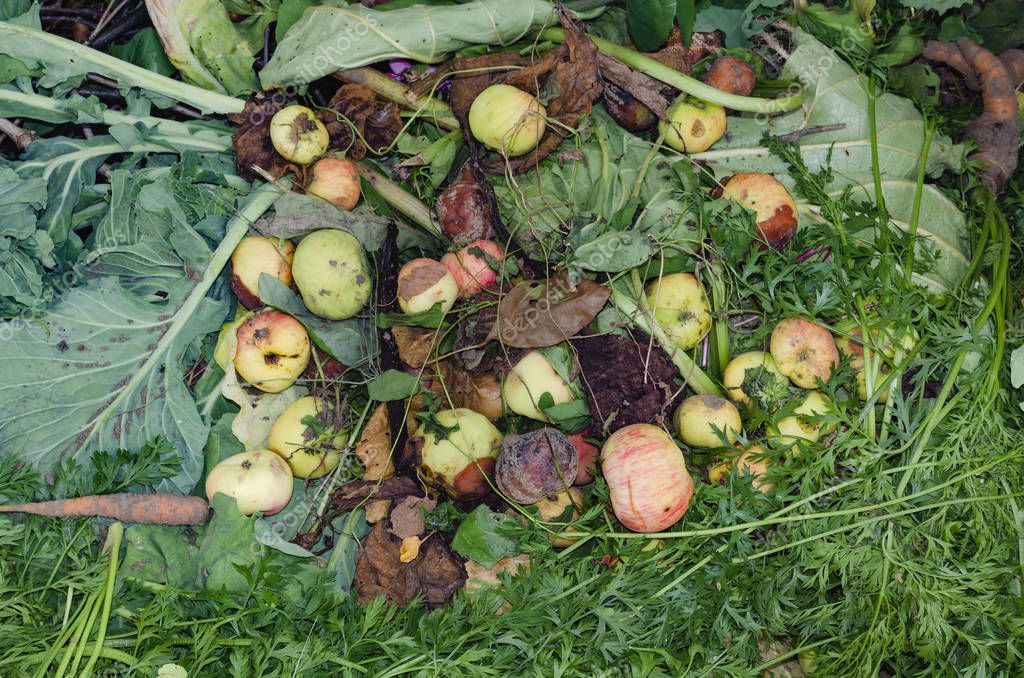 Compost orgánico con residuos verdes: proceso que produce fertelizador ...
