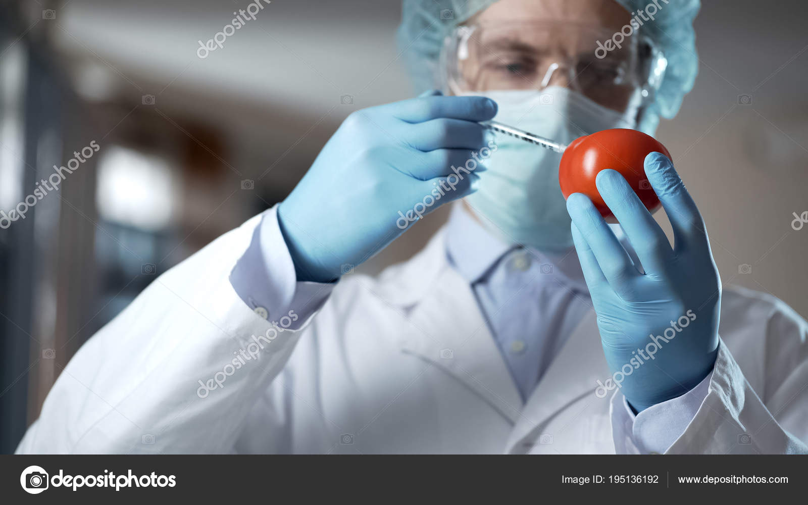 Agricultural Lab Worker Injecting Tomato Nitrates Keep Fresh Gmo ...