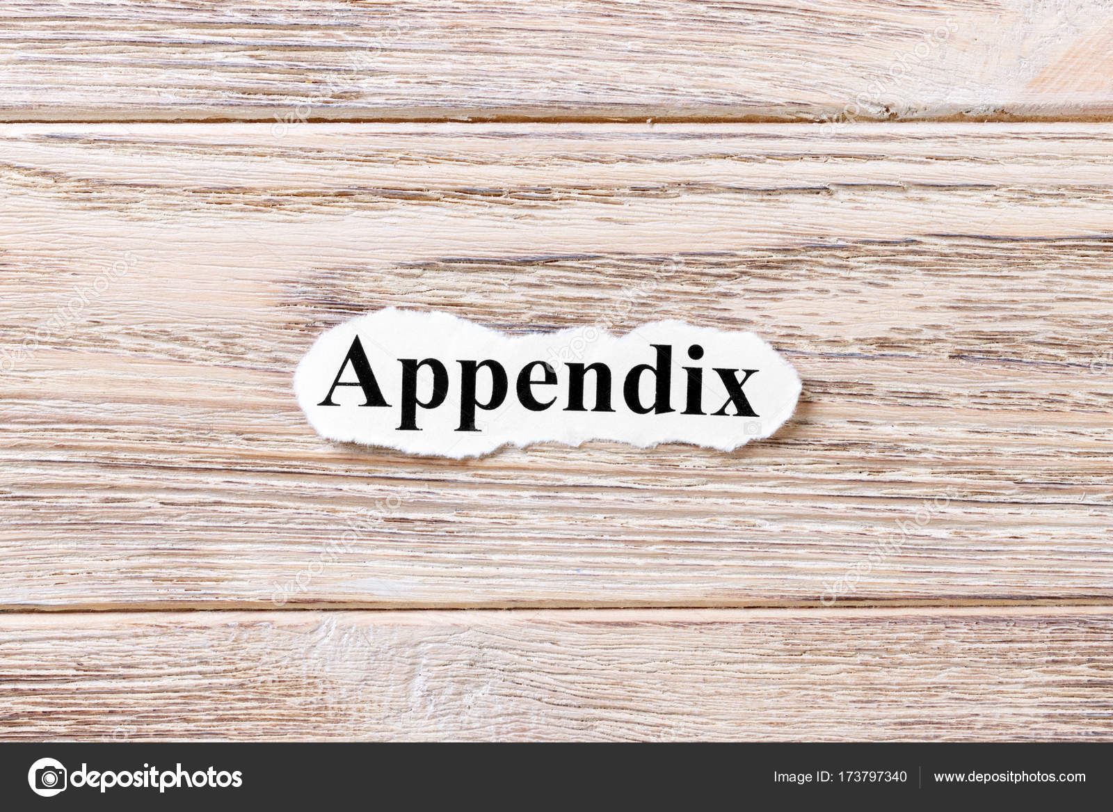 Appendix of the word on paper. concept. Words of appendix on a wooden ...