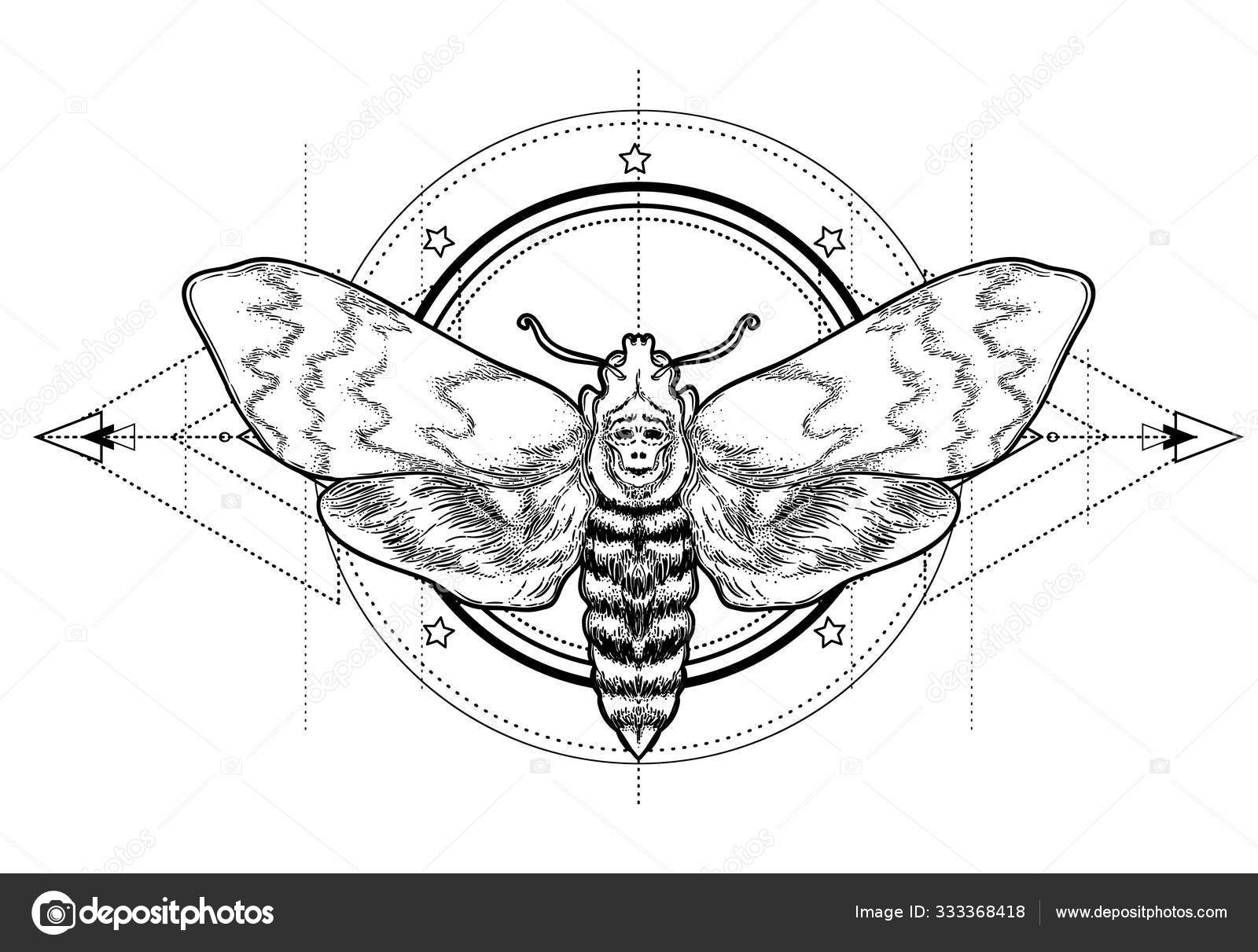 Черно-белая моль над знаком сакральной геометрии, изолированная ...