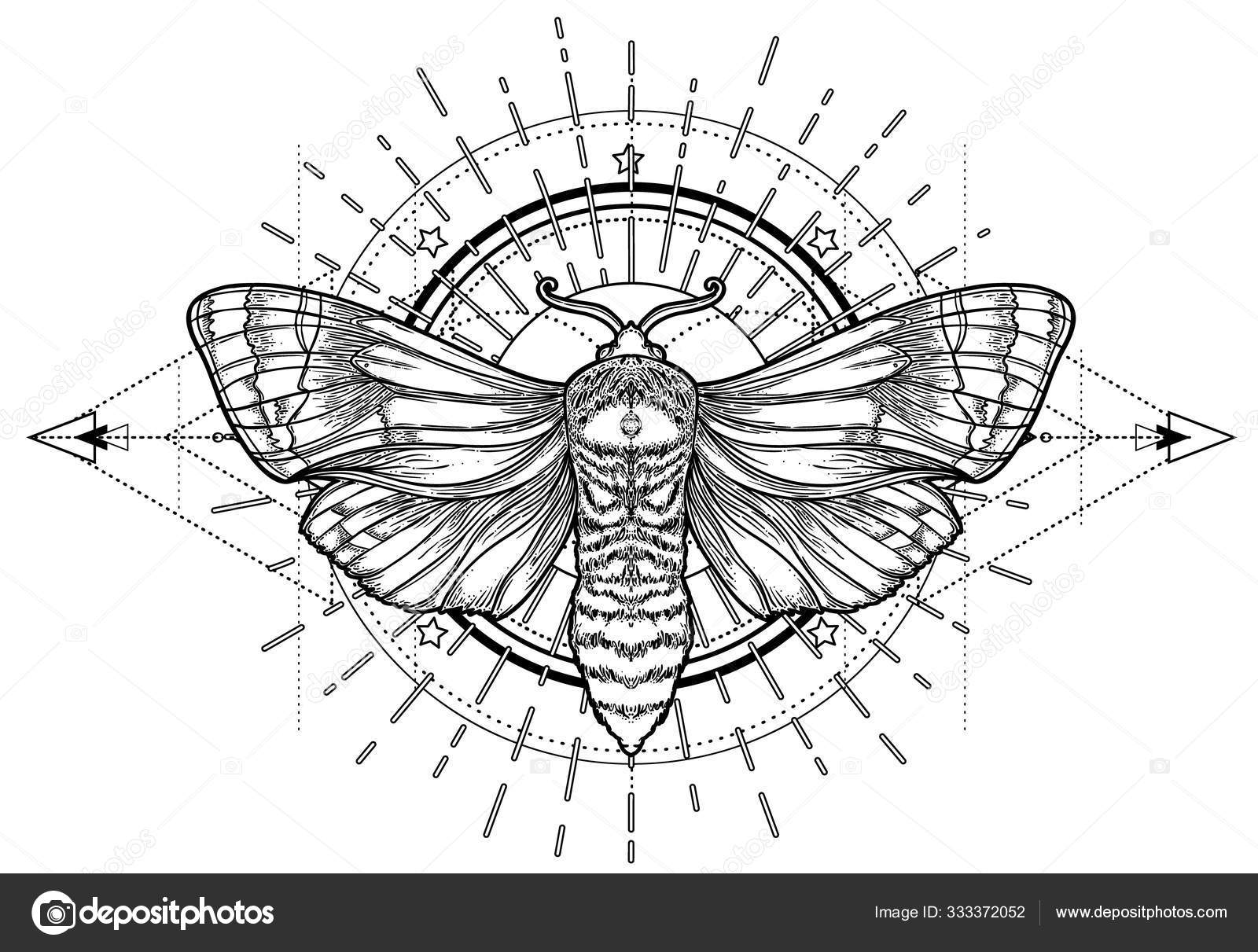 Geometric Moth Tattoo