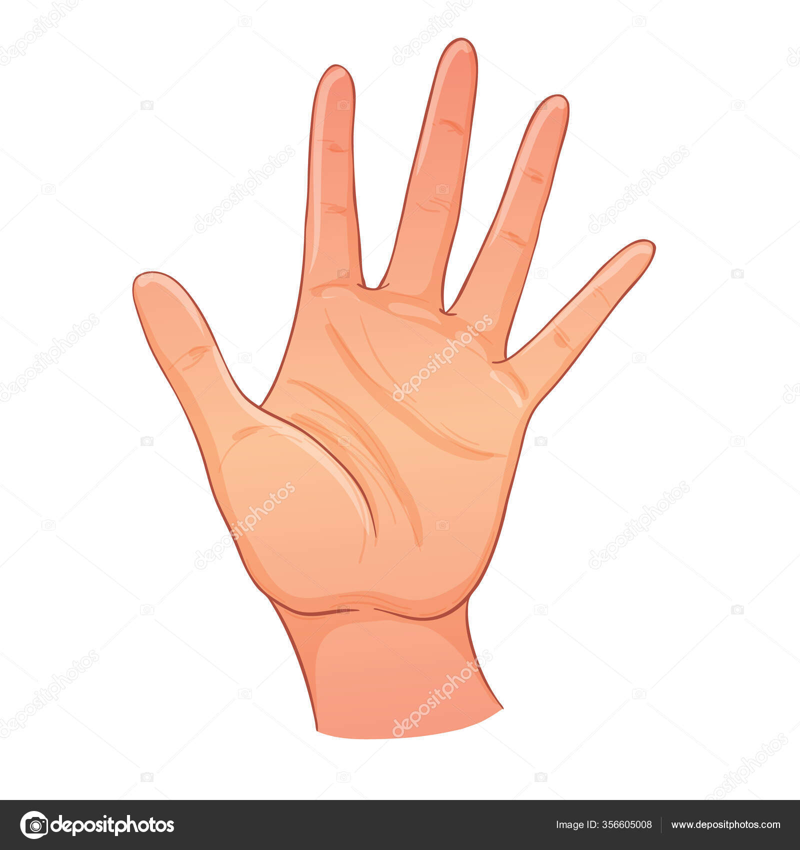 Otevřete ruku. Lidská dlaň. Ručně kreslená ilustrace. Palmistry ...