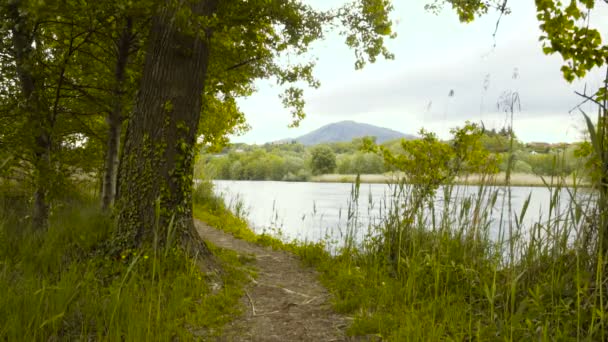 18,448 Sentier sauvage Videos, Royalty-free Stock Sentier sauvage ...