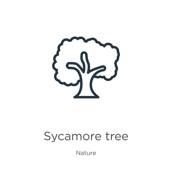 ᐈ Sycamore tree silhouette stock vectors, Royalty Free sycamore tree ...