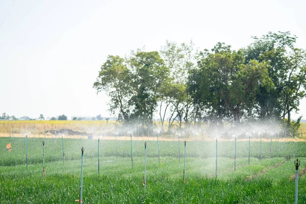 Water system Images - Search Images on Everypixel