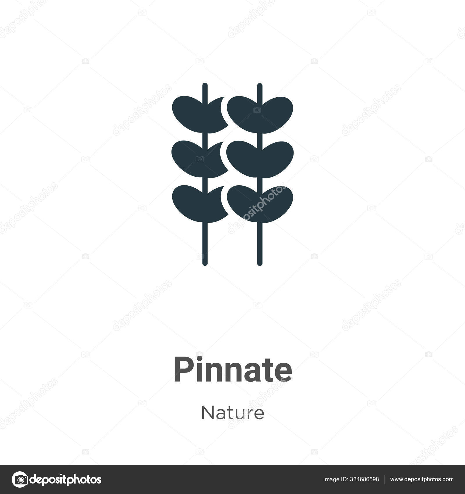 Pinnate Vector Icon White Background Flat Vector Pinnate Icon Symbol ...