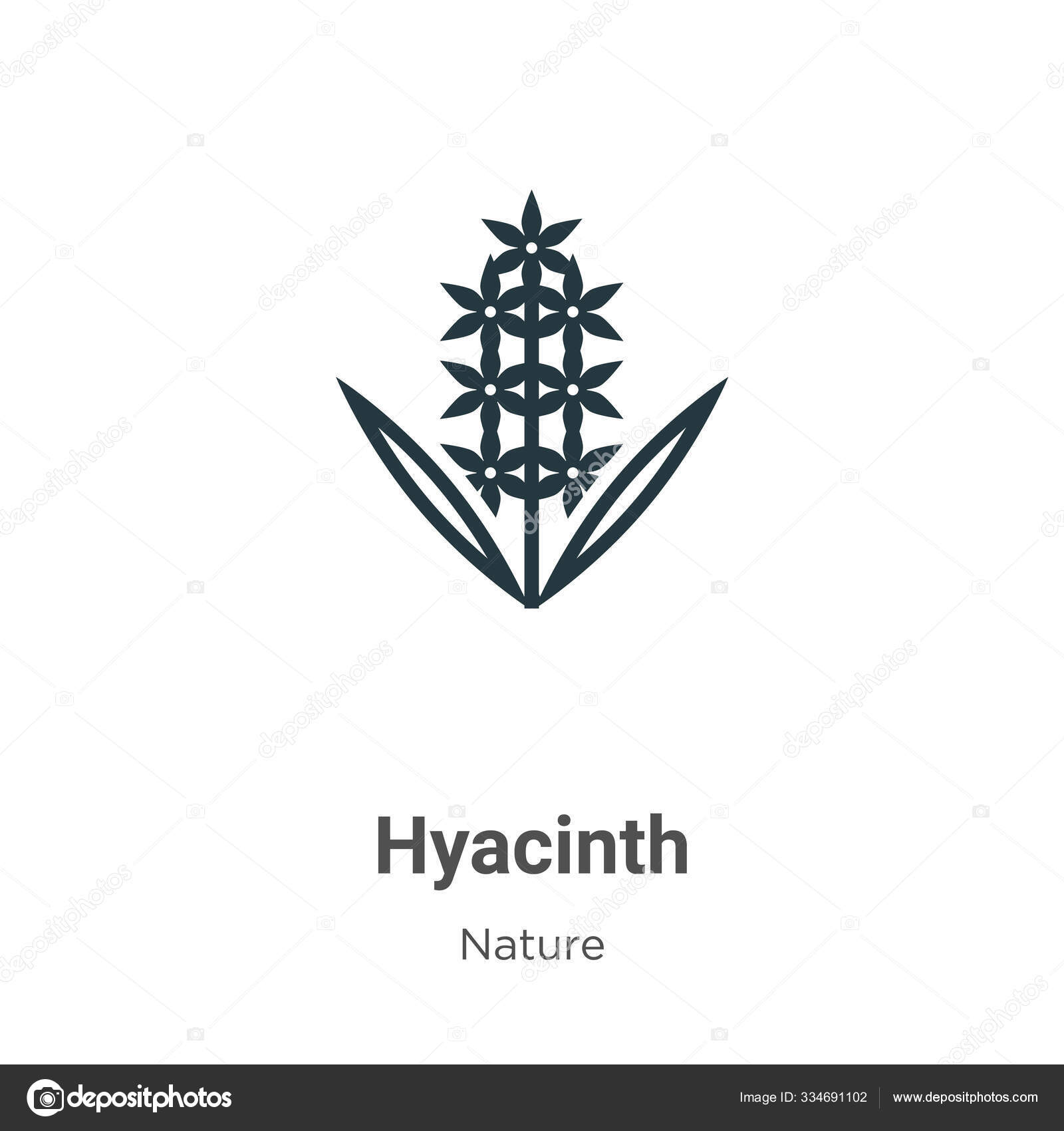 Hyacinth Vector Icon White Background Flat Vector Hyacinth Icon Symbol ...