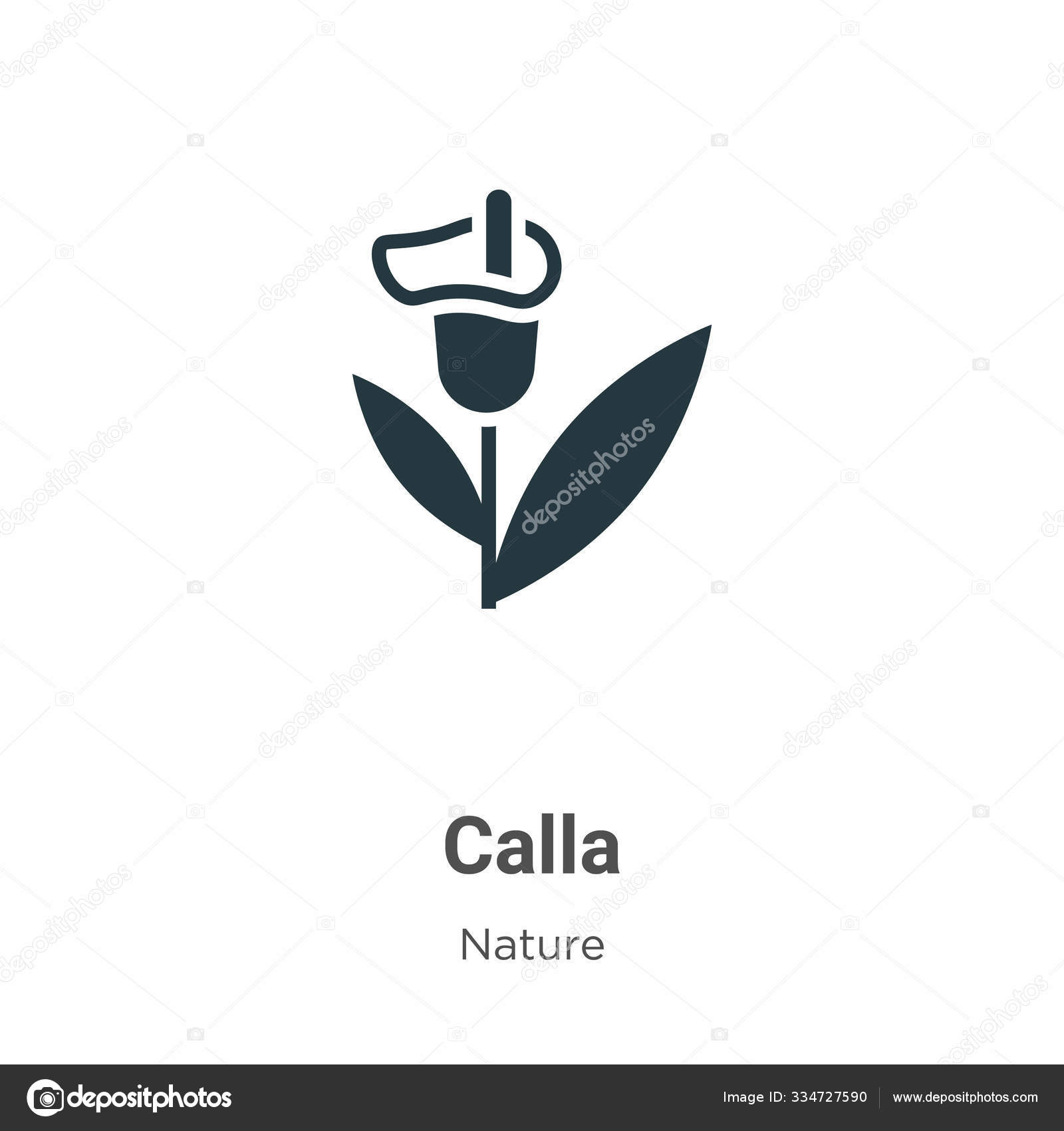 Calla Vector Icon White Background Flat Vector Calla Icon Symbol Stock ...