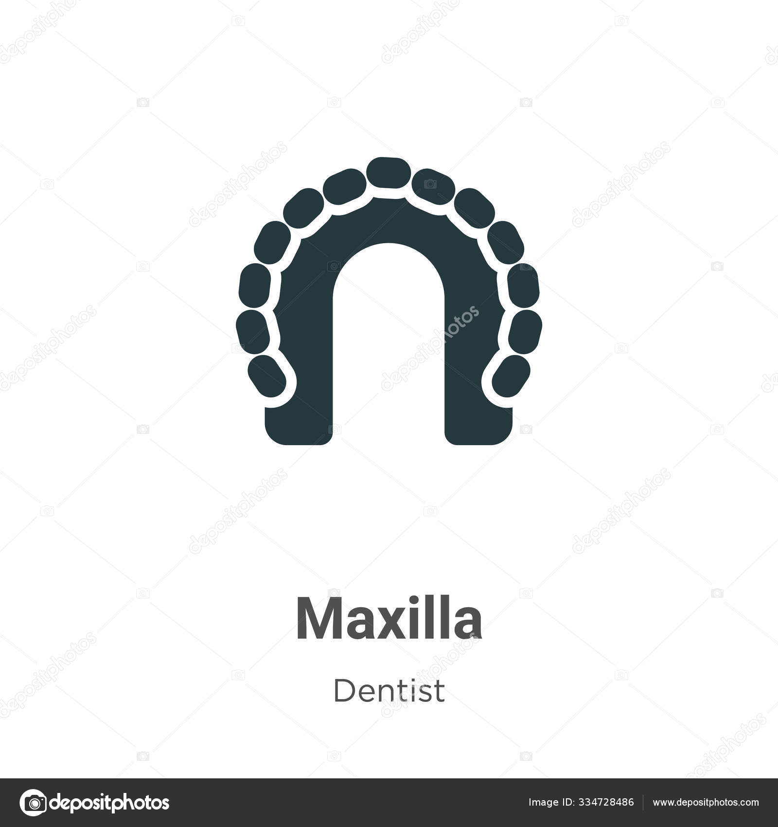 Maxilla Vector Icon White Background Flat Vector Maxilla Icon Symbol ...