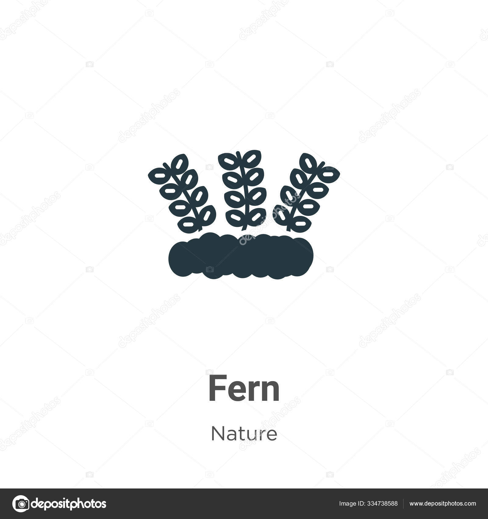 Fern Glyph Icon Vector White Background Flat Vector Fern Icon Stock ...