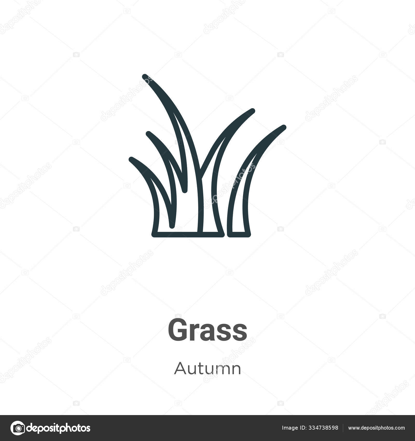 Simple Grass Vector