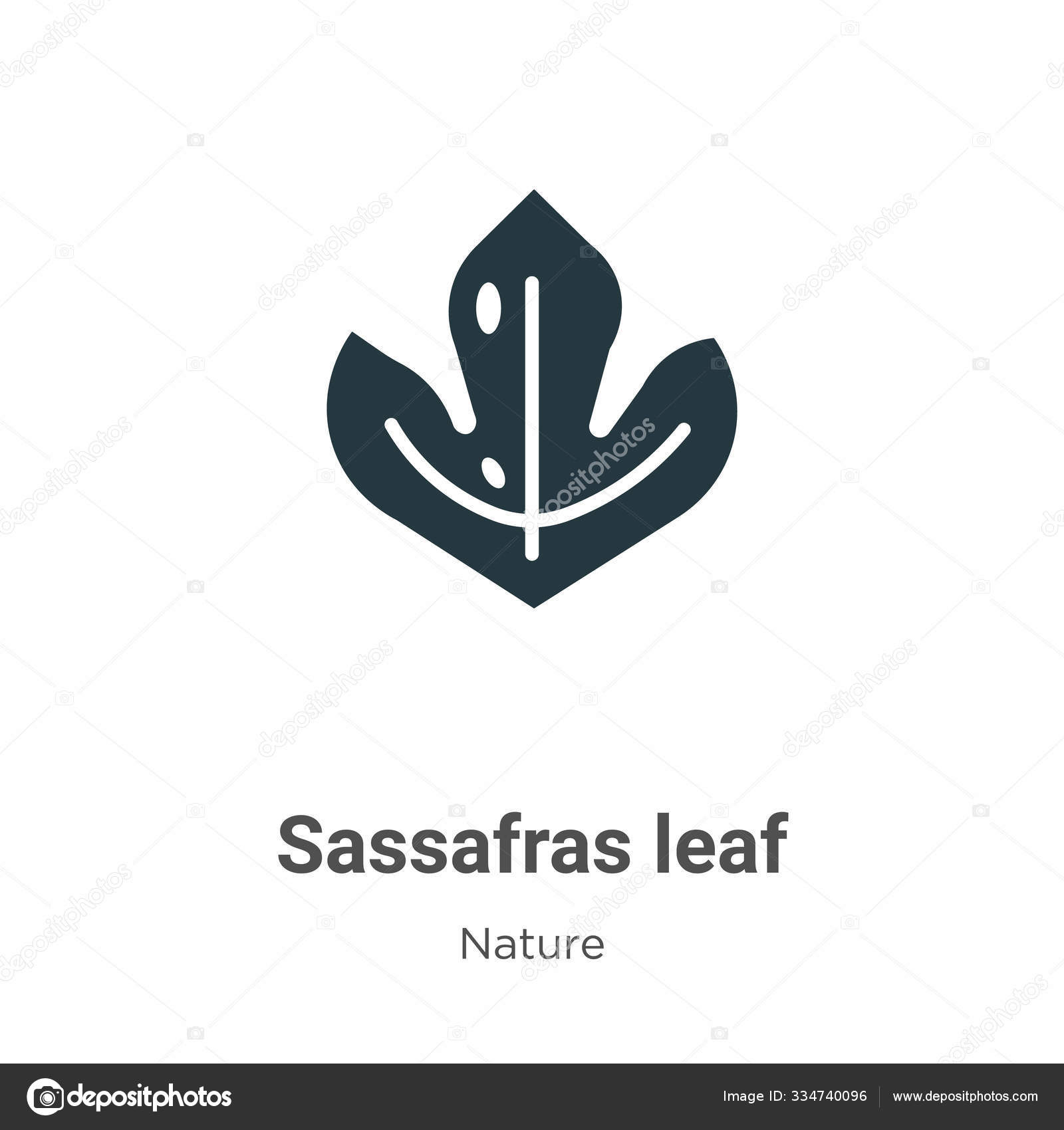 Sassafras Leaf Vector Icon White Background Flat Vector Sassafras Leaf ...