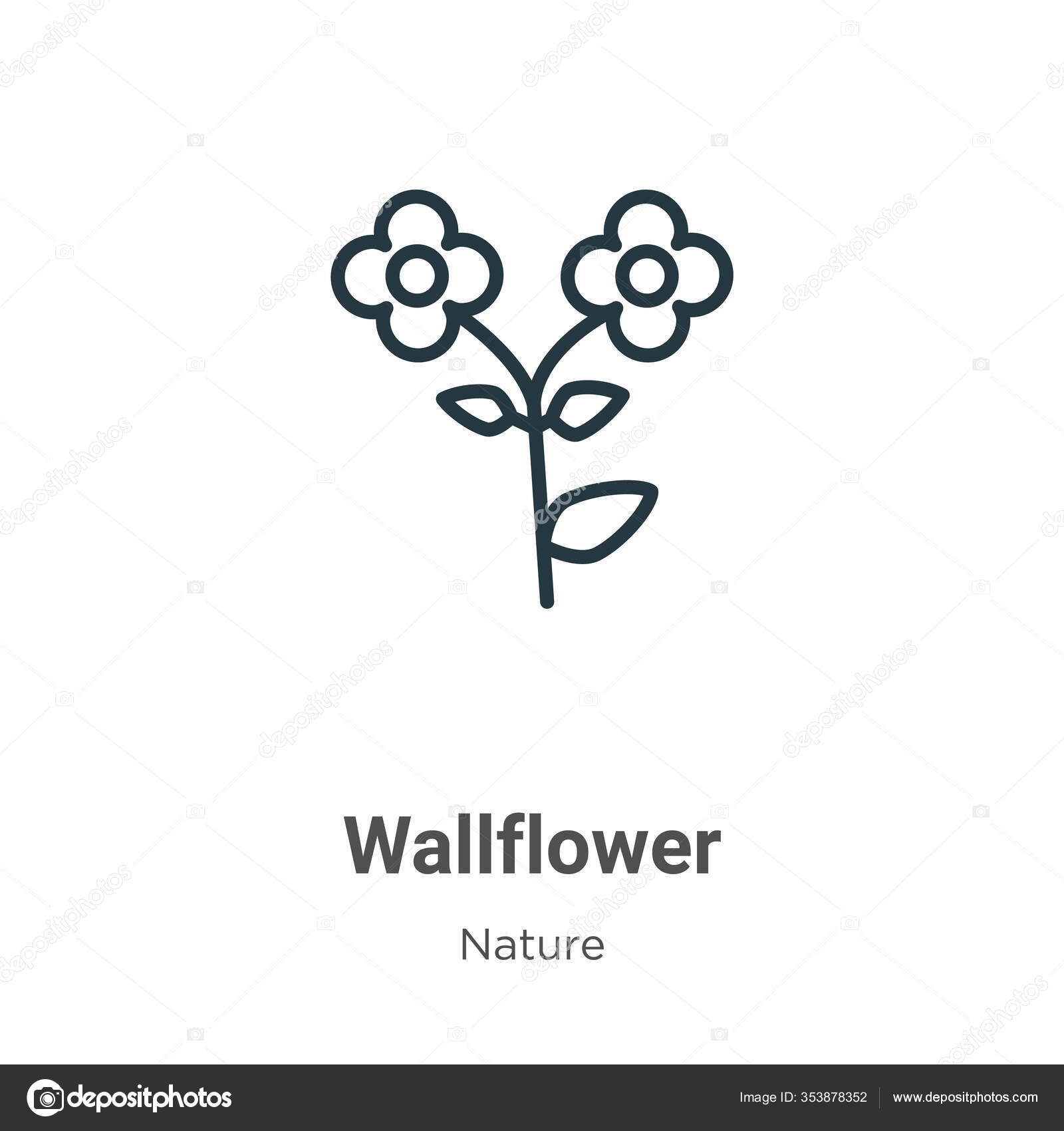 Wallflower Outline Vector Icon Thin Line Black Wallflower Icon Flat ...