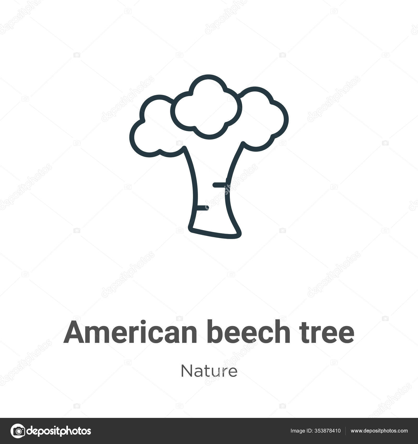 Beech Symbol
