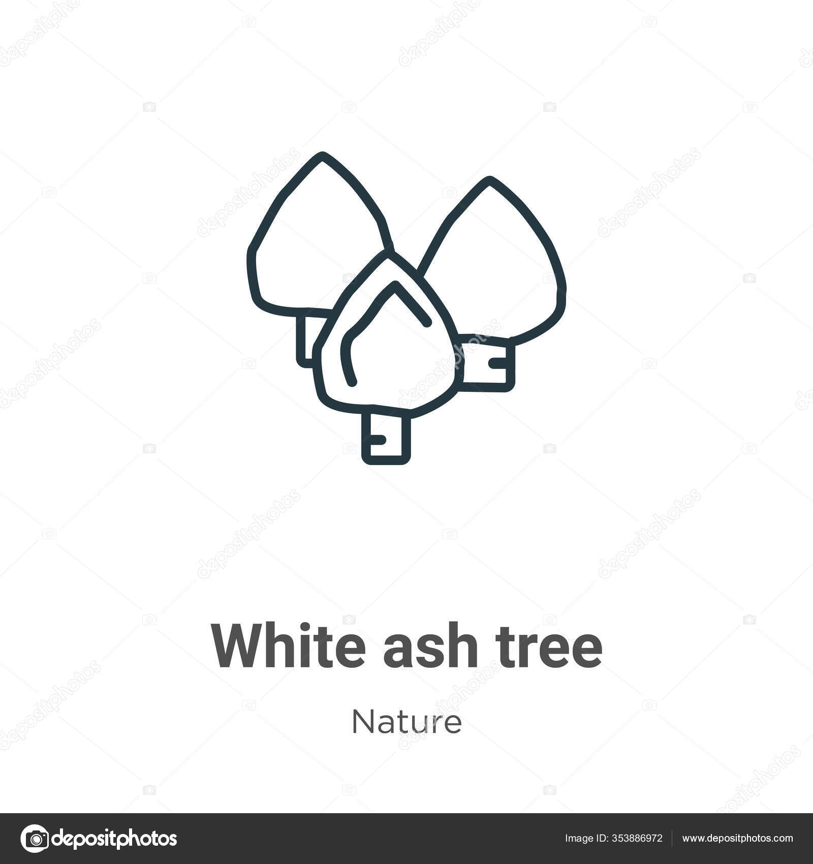 White Ash Tree Outline Vector Icon Thin Line Black White Stock Vector ...