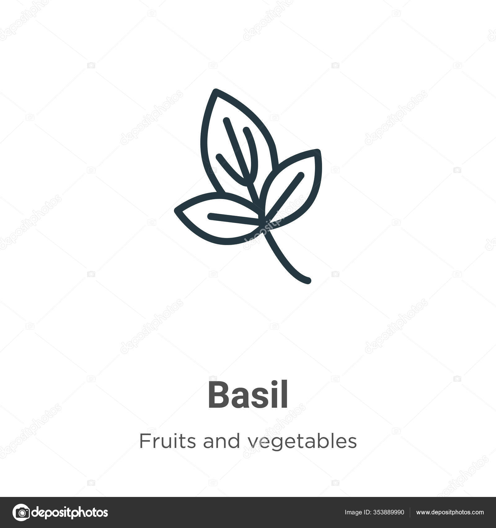 Basil Outline Vector Icon Thin Line Black Basil Icon Flat Stock Vector ...