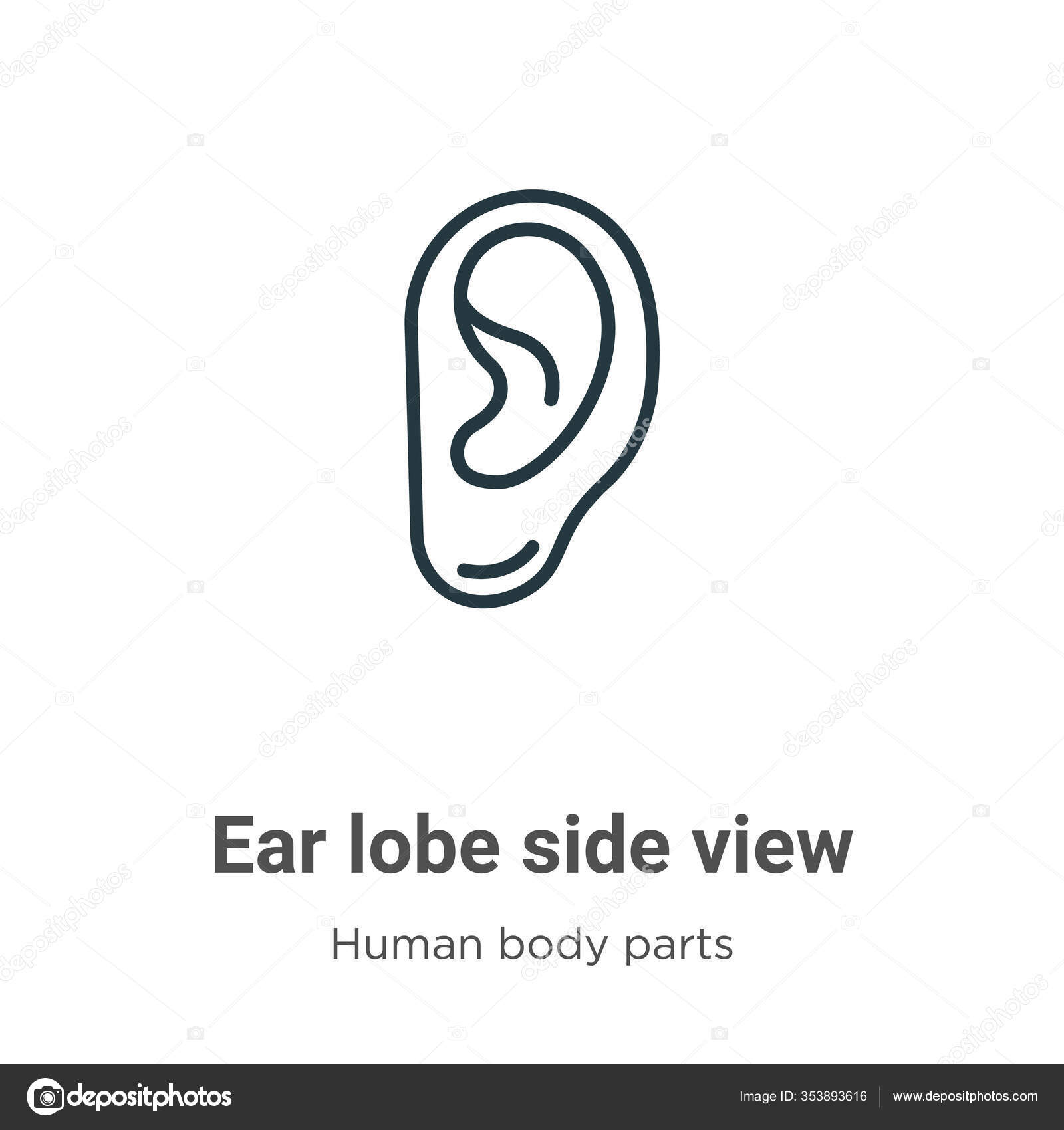 Ear Lobe Side View Outline Vector Icon Thin Line Black Stock Vector ...