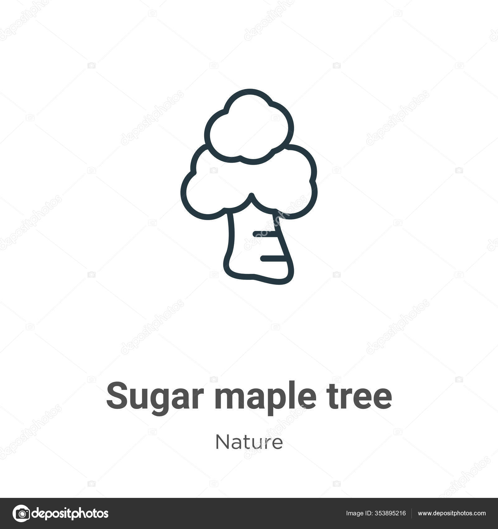 Maple Tree Outline