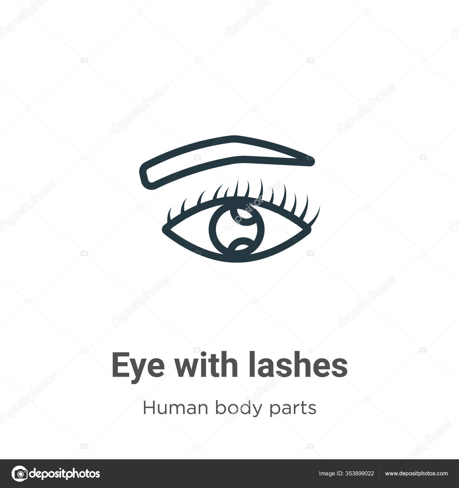 Eye Lashes Outline Vector Icon Thin Line Black Eye Lashes Stock Vector ...
