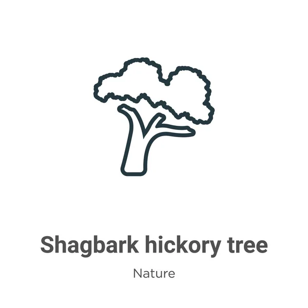 Shagbark hickory tree Vector Art Stock Images | Depositphotos