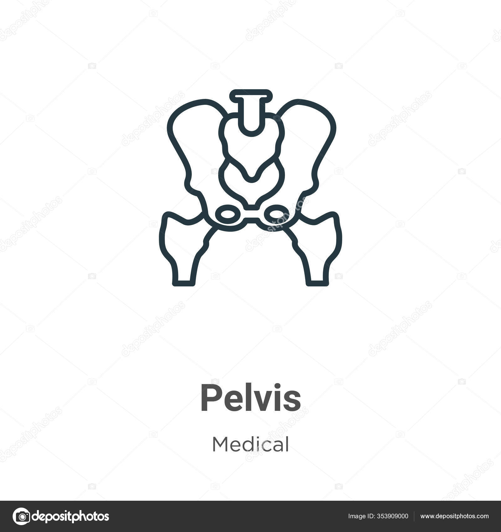 Pelvis Outline Vector Icon Thin Line Black Pelvis Icon Flat Stock Vector Image by ©Digital ...